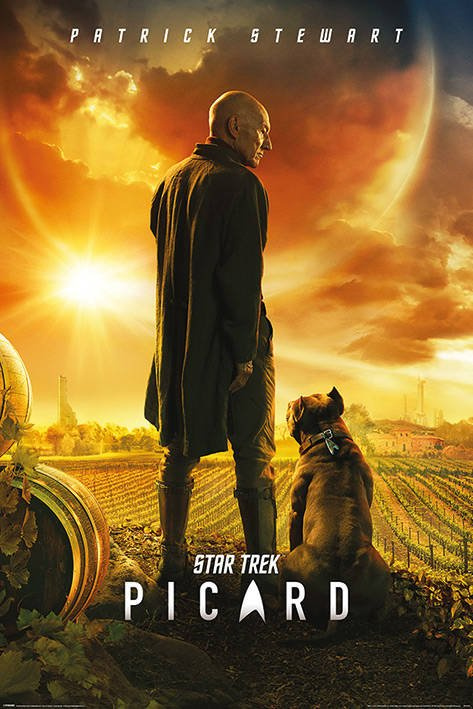 plakat STAR TREK PICARD - PICARD NUMBER ONE - sklep RockMetalShop.pl